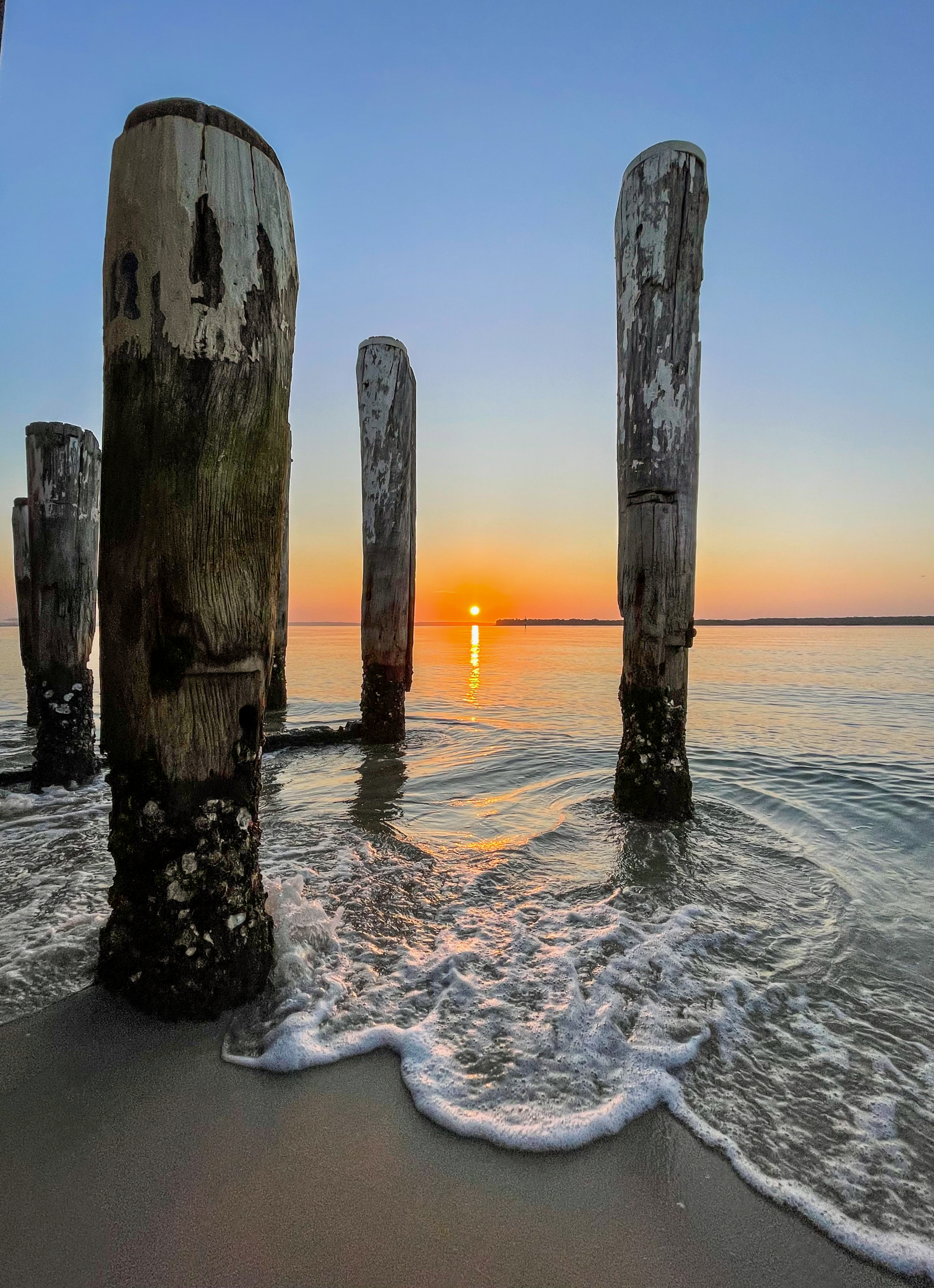 Precinct 2 Concept Lady Robinsons Foreshore | Have Your Say Bayside