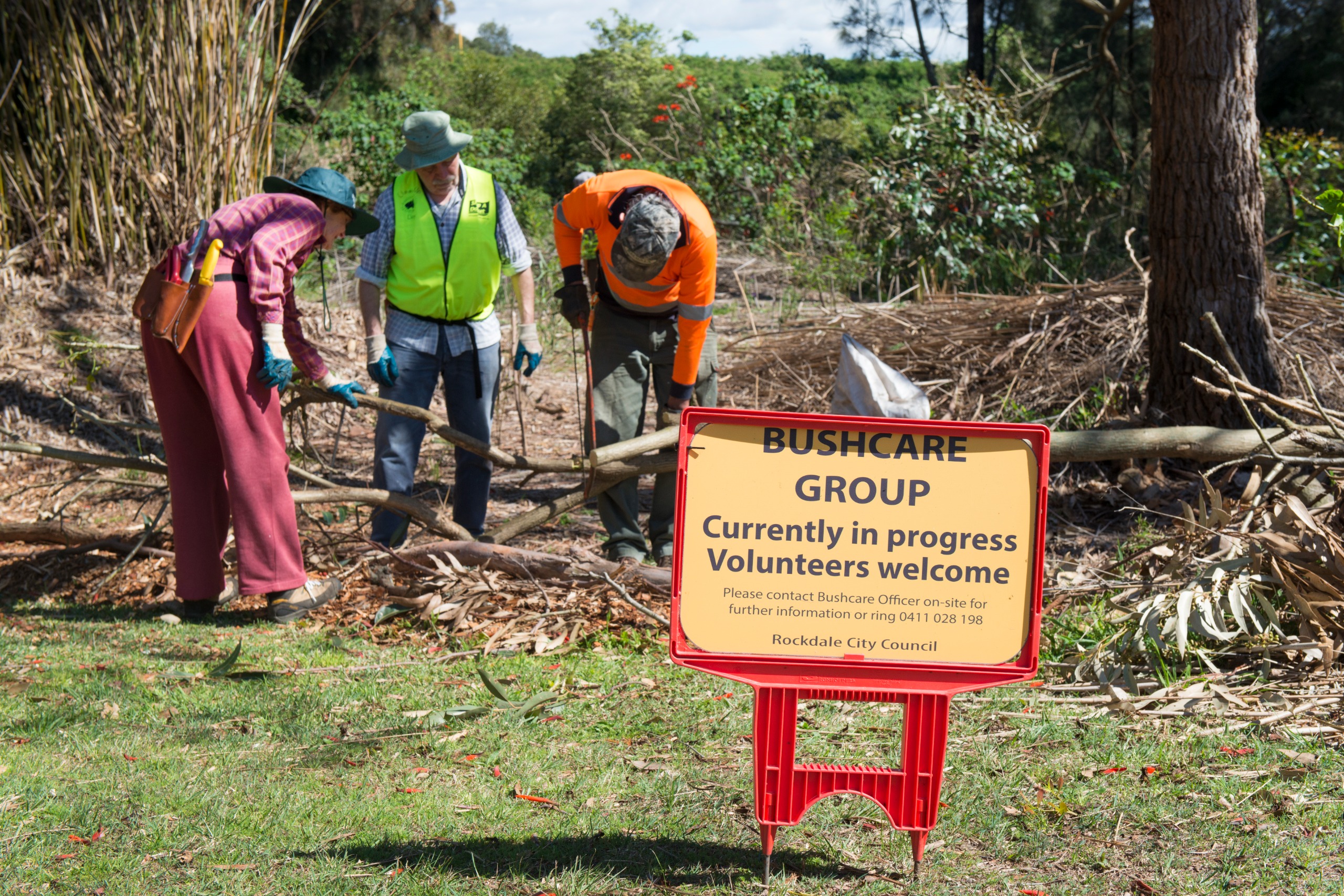 Bush Care Community Feedback Form - Scarborough Tennis Lights | CLOSED ...