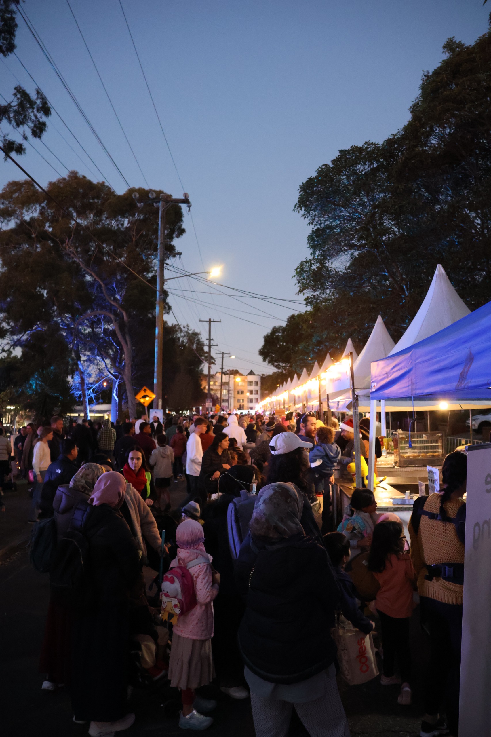 CSP Stage Two Feedback Form | Review of Community Strategic Plan | Have ...